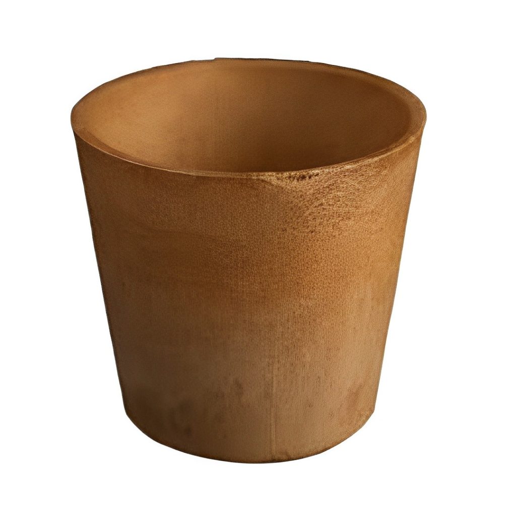 Edible Cups Australia | Eco Friendly Coffee Cups
